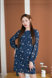 Sofia Darcy Dress